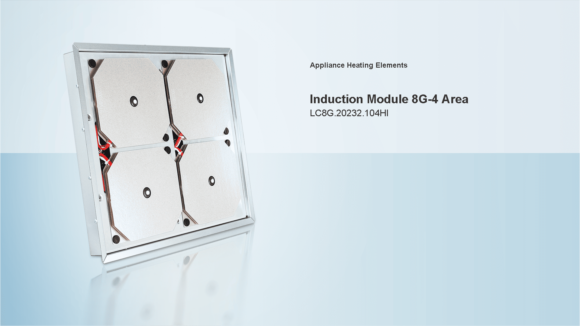 Induction Module 8G-4 Area - LEADCORE.UK